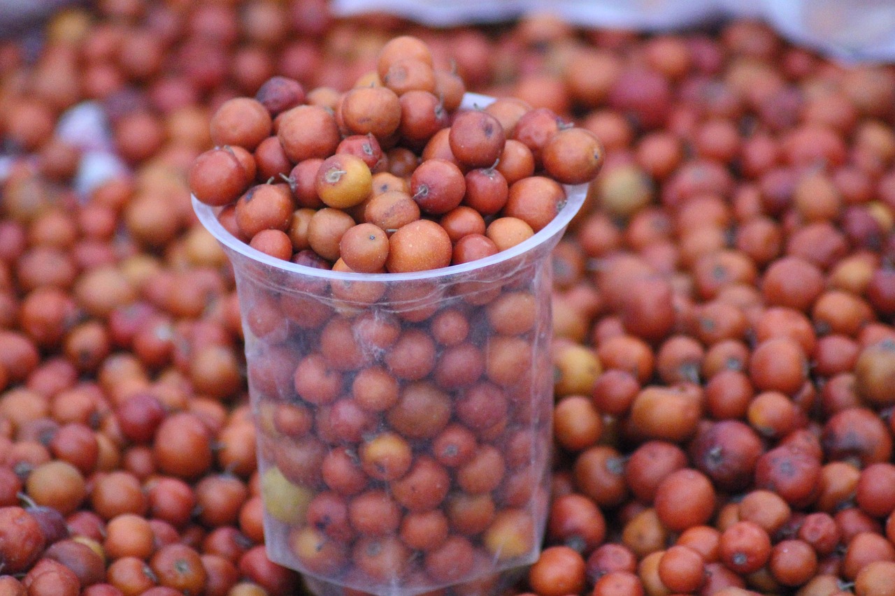 Jujube fruit store